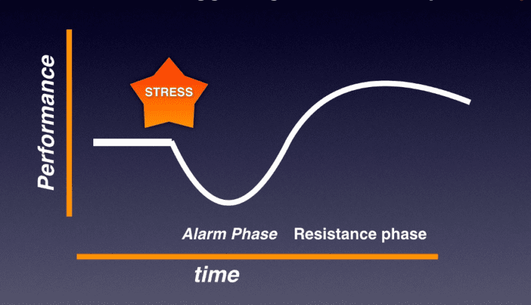 Lock In Training Progression - Science to Sport